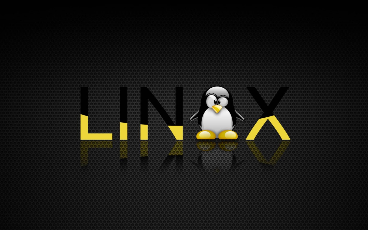 linux tux sistema operativo linux ransomware - HardwarEsfera
